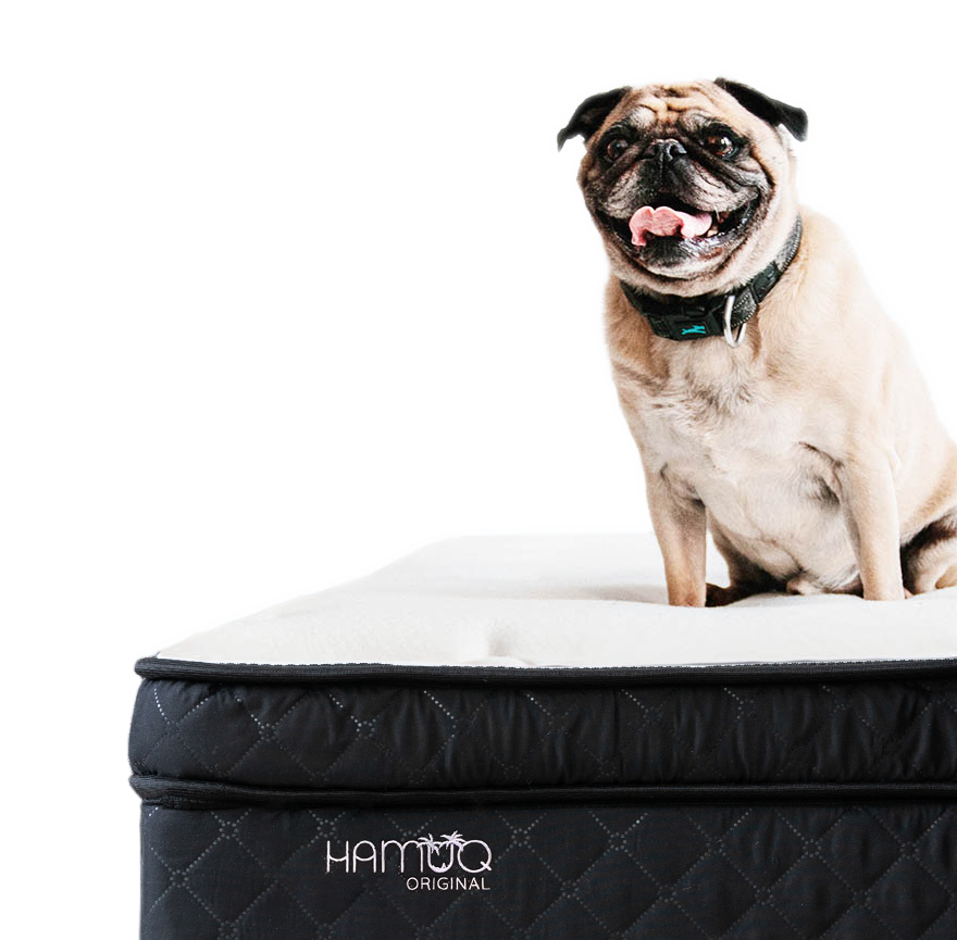 The Hamuq hybrid mattress. 120 night trial.